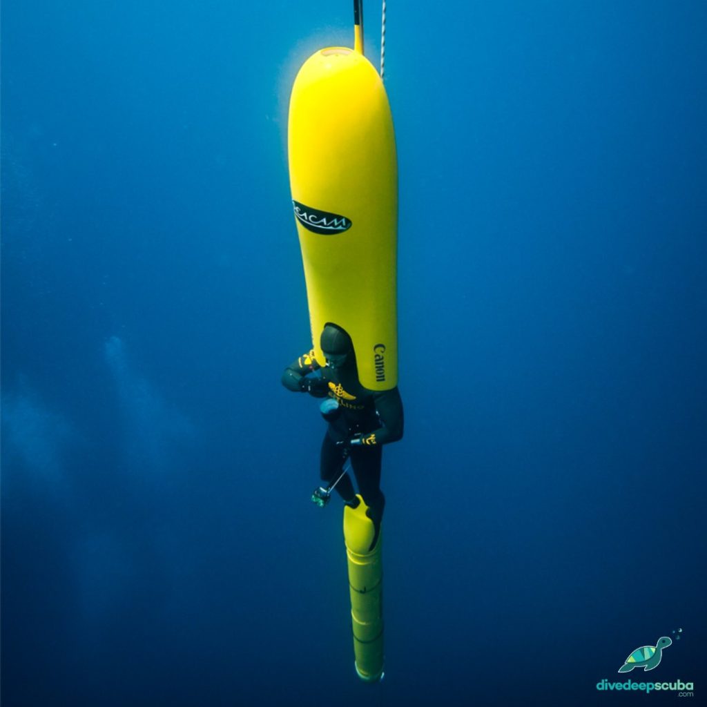 What Are The 8 Freediving Disciplines? - Divedeepscuba.com